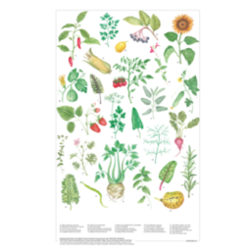 Postane Bitki Posteri - Postane Dükkan - Good4Trust.org